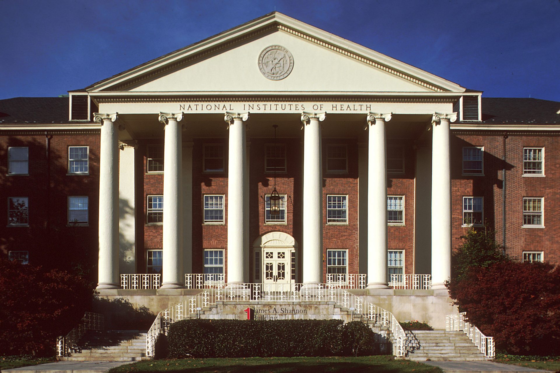 Top 50 NIH-Funded Institutions of 2024