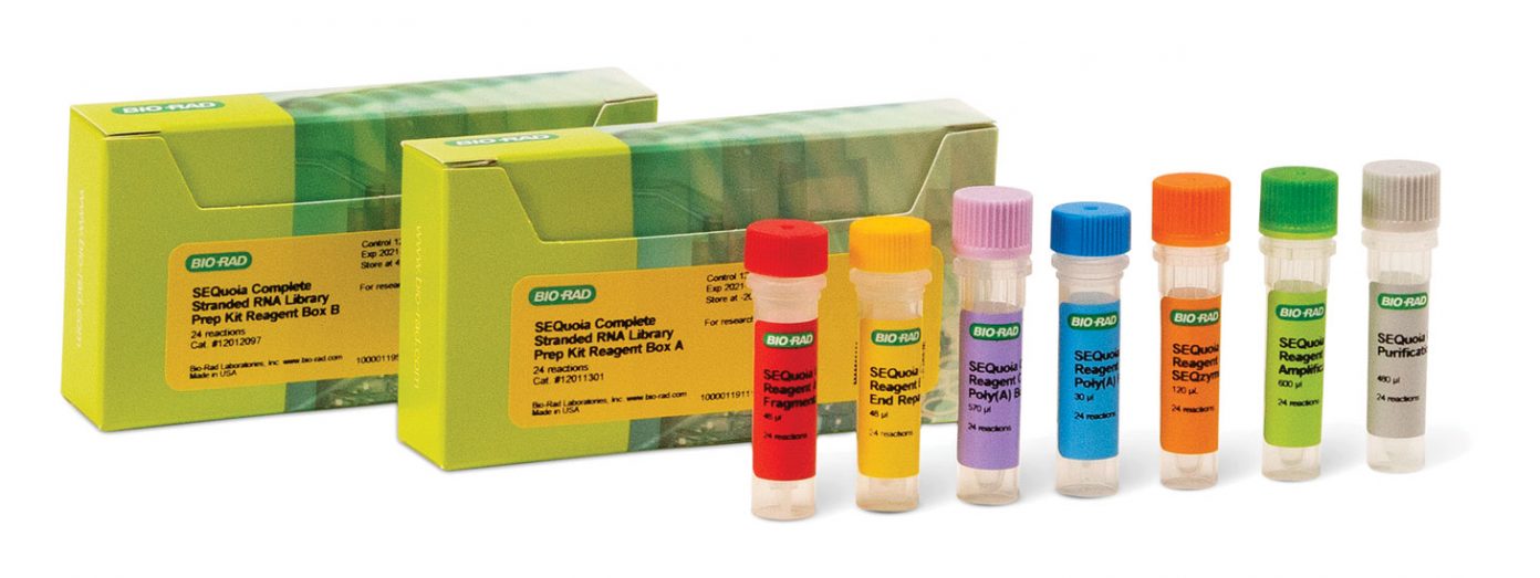 Stranded RNA Library Prep Kit