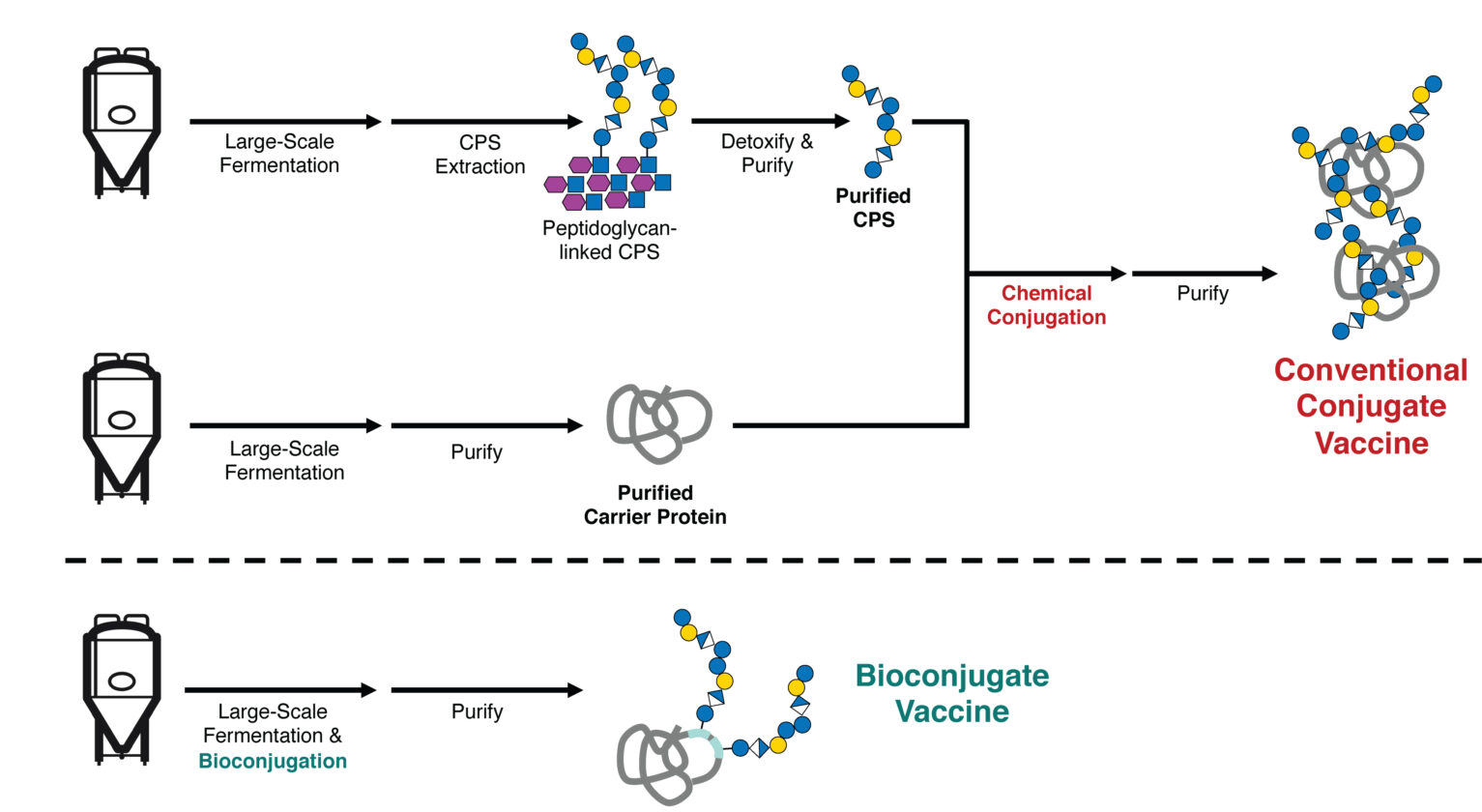 Smart Vaccine Design Keeps Manufacturability in Mind