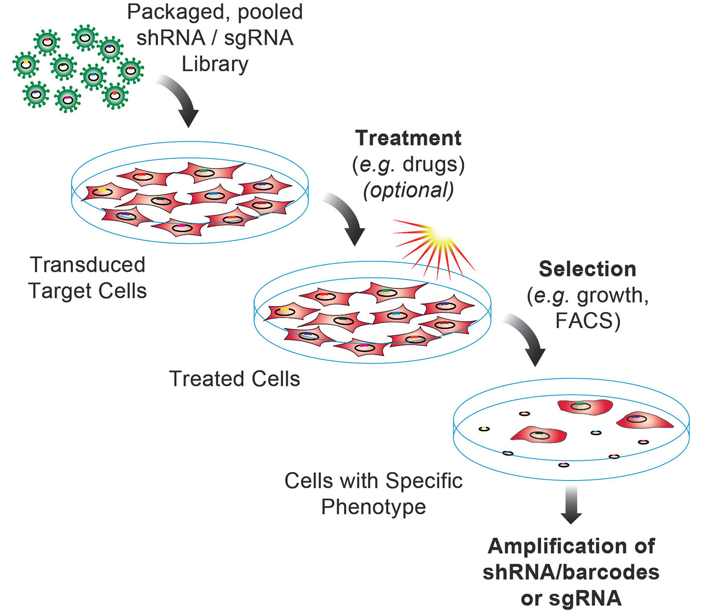 CRISPR Screens Should Be Exhaustive, Not Exhausting