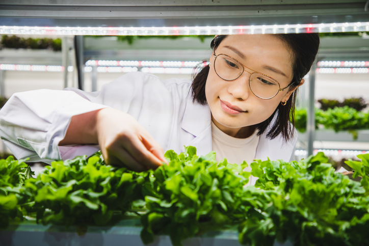 Plant Molecular Farming as a Novel Vaccine Production Method