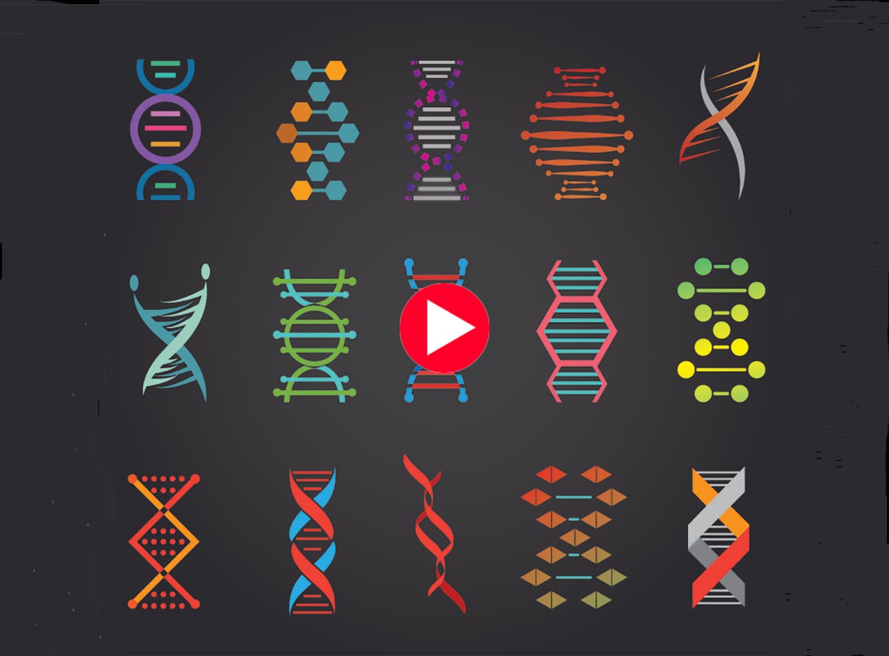 DNA Day: Deep Dive