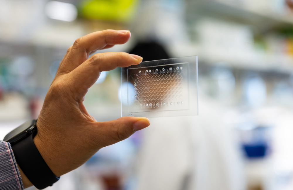 Nanozyme-Powered TB Test Enhances Detection for HIV Co-Infection