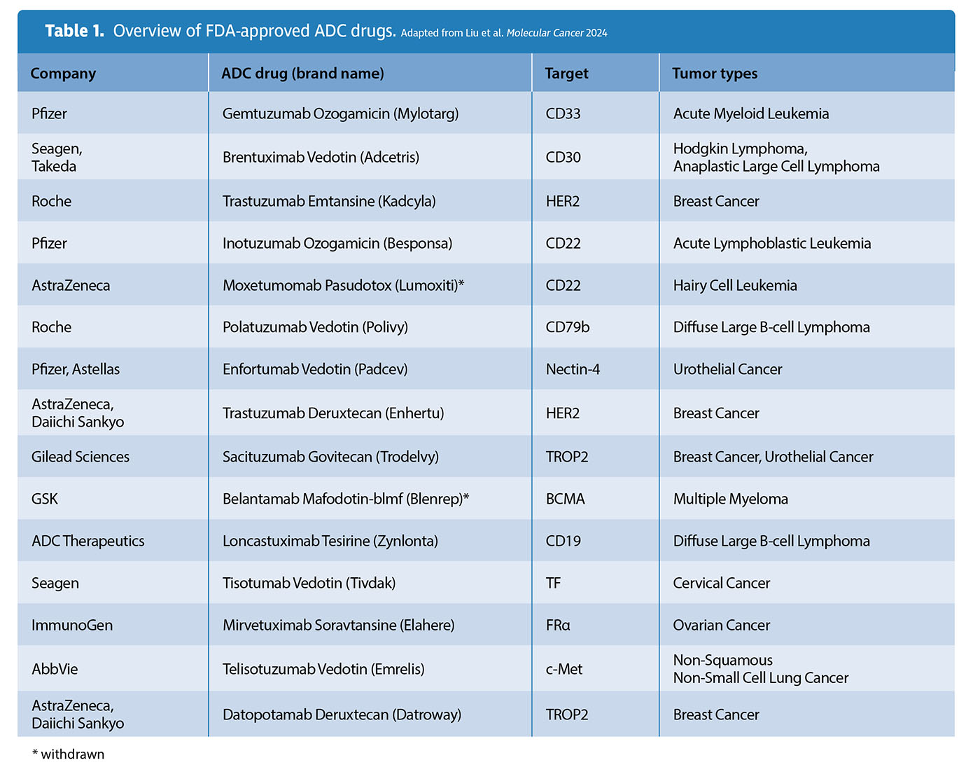 Making New Connections: Antibody Drug Conjugates Target Cancer