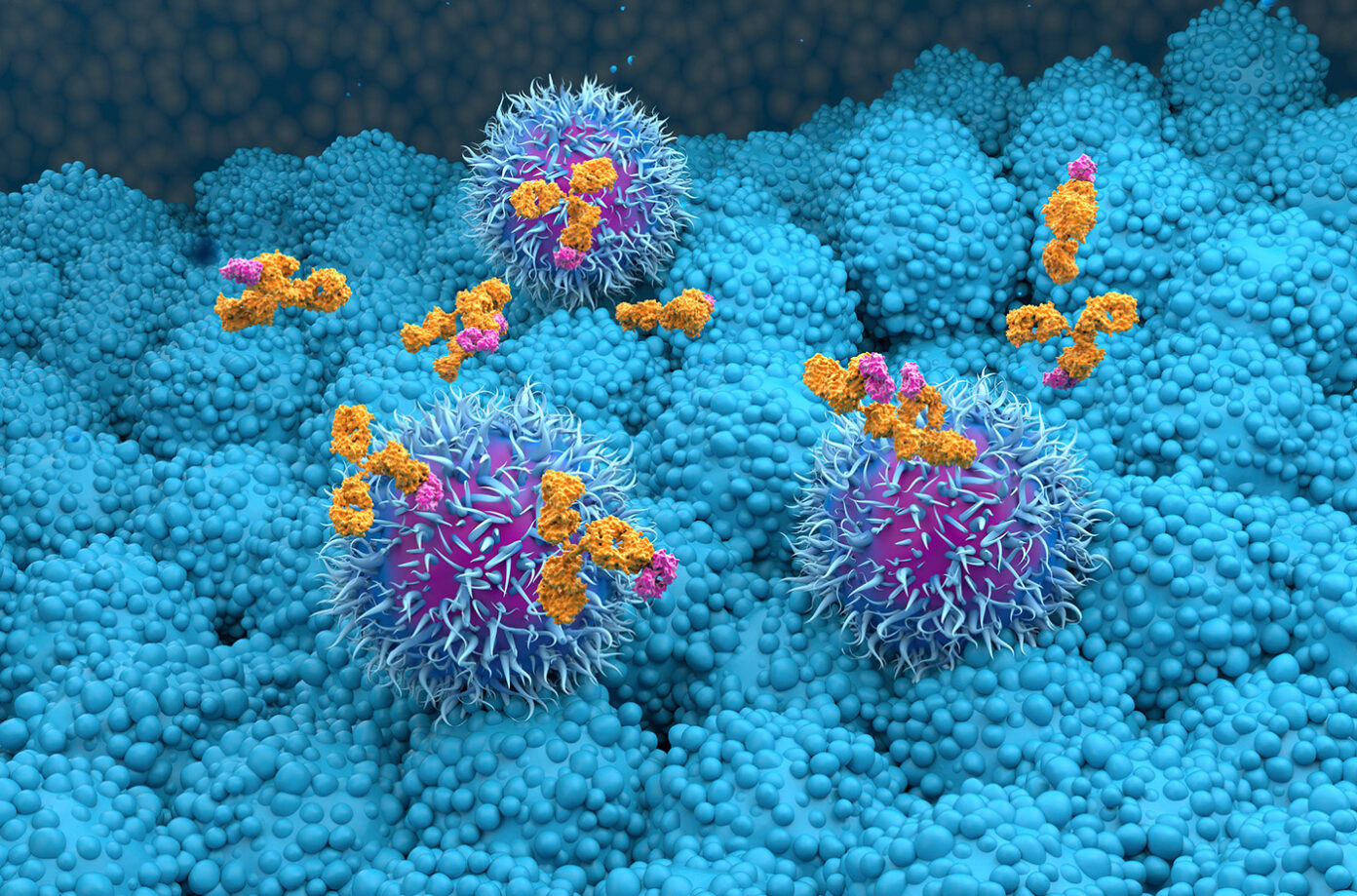 Spatial Single‑Cell Platform Reveals Barriers to Antibody Delivery in ...