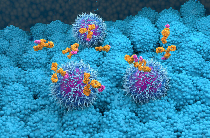 Spatial Single‑Cell Platform Reveals Barriers to Antibody Delivery in ...