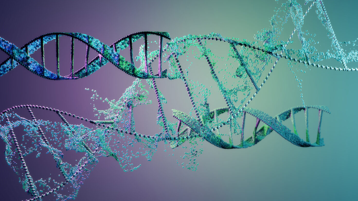 SonoThera Raises $125M to Develop Ultrasound-Mediated Genetic Medicines