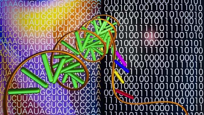 Fifteenth In Vivo Lentiviral Vector-Based Therapeutic Technology Added ...